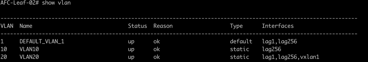 AFC Configuring a VSX LAG | networkrunt